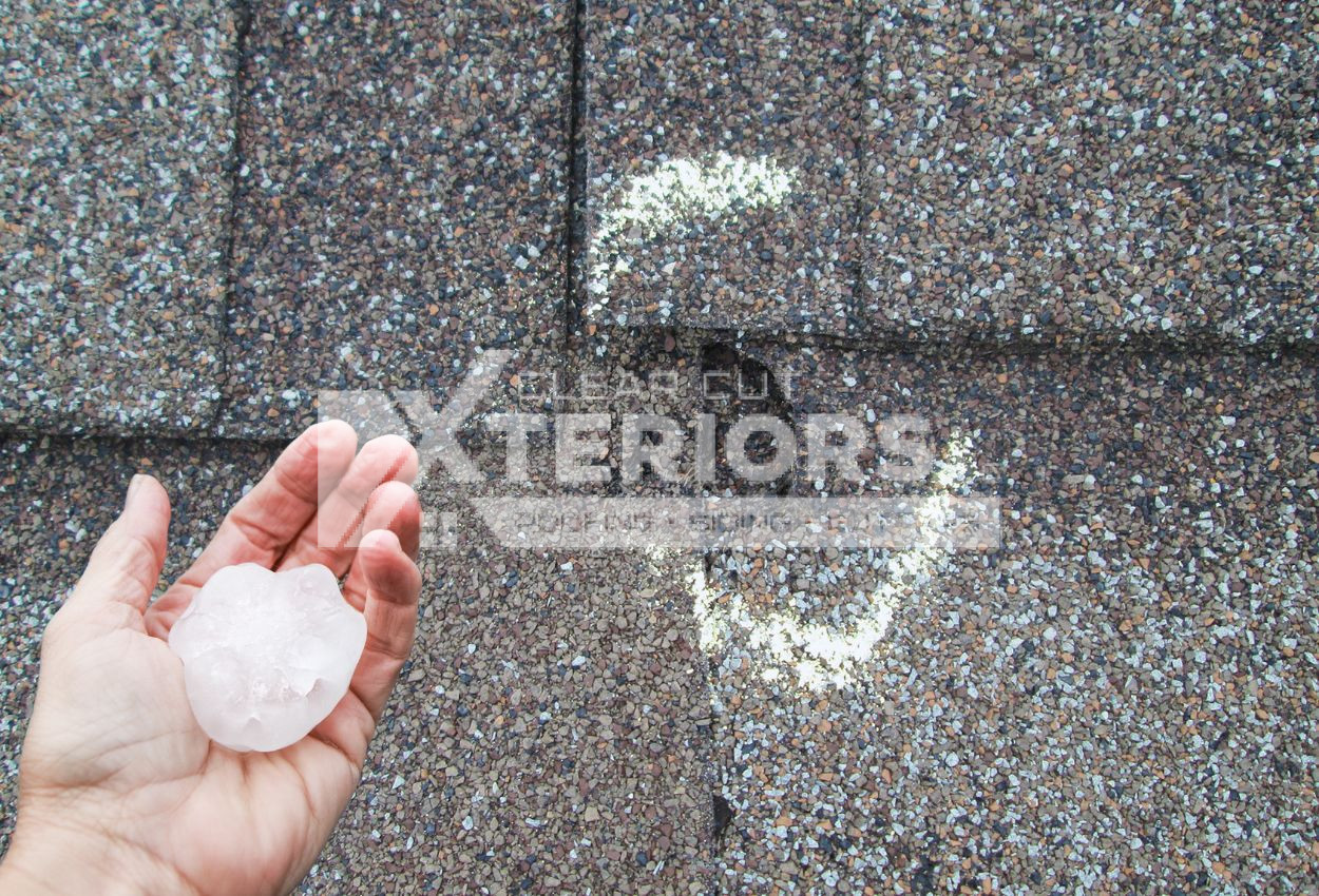 19 Types Of Roof Damage Every Homeowner Should Know