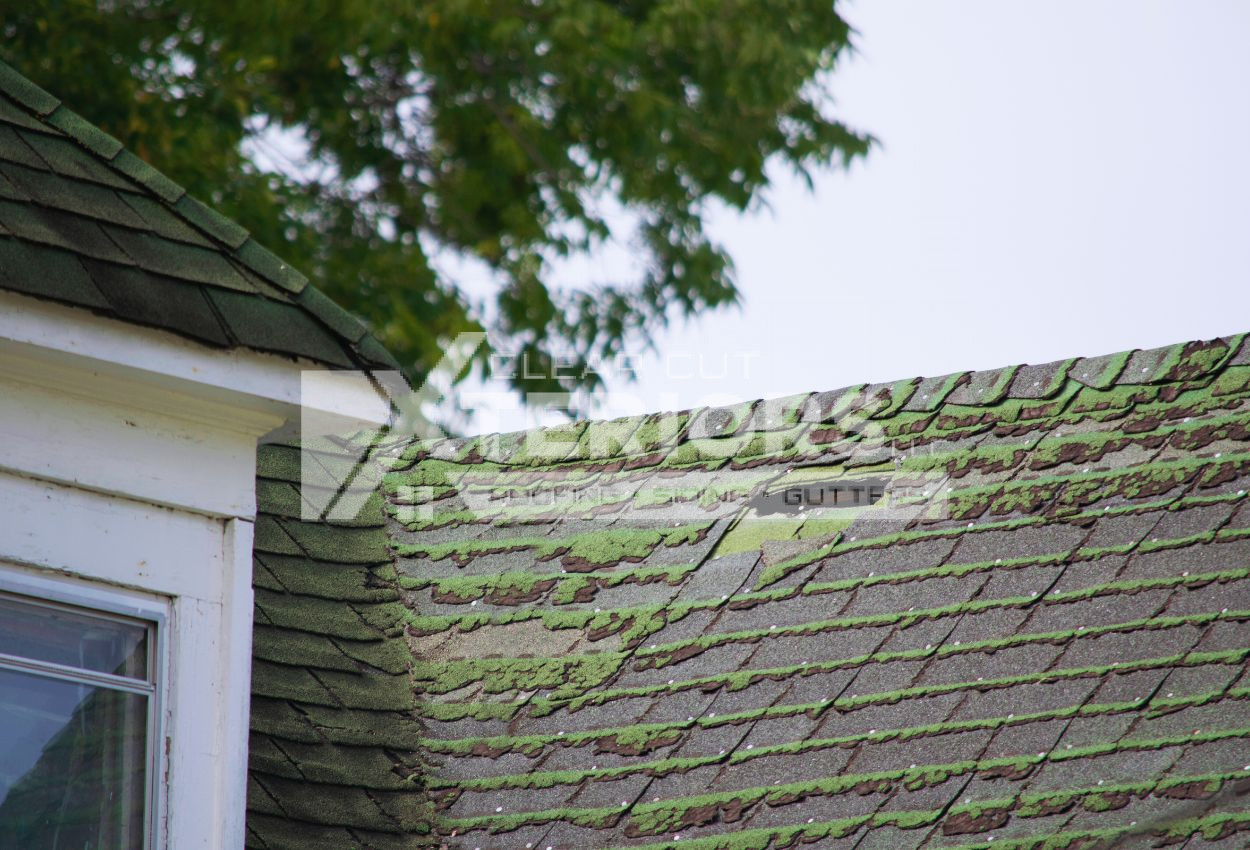 19 Types Of Roof Damage Every Homeowner Should Know