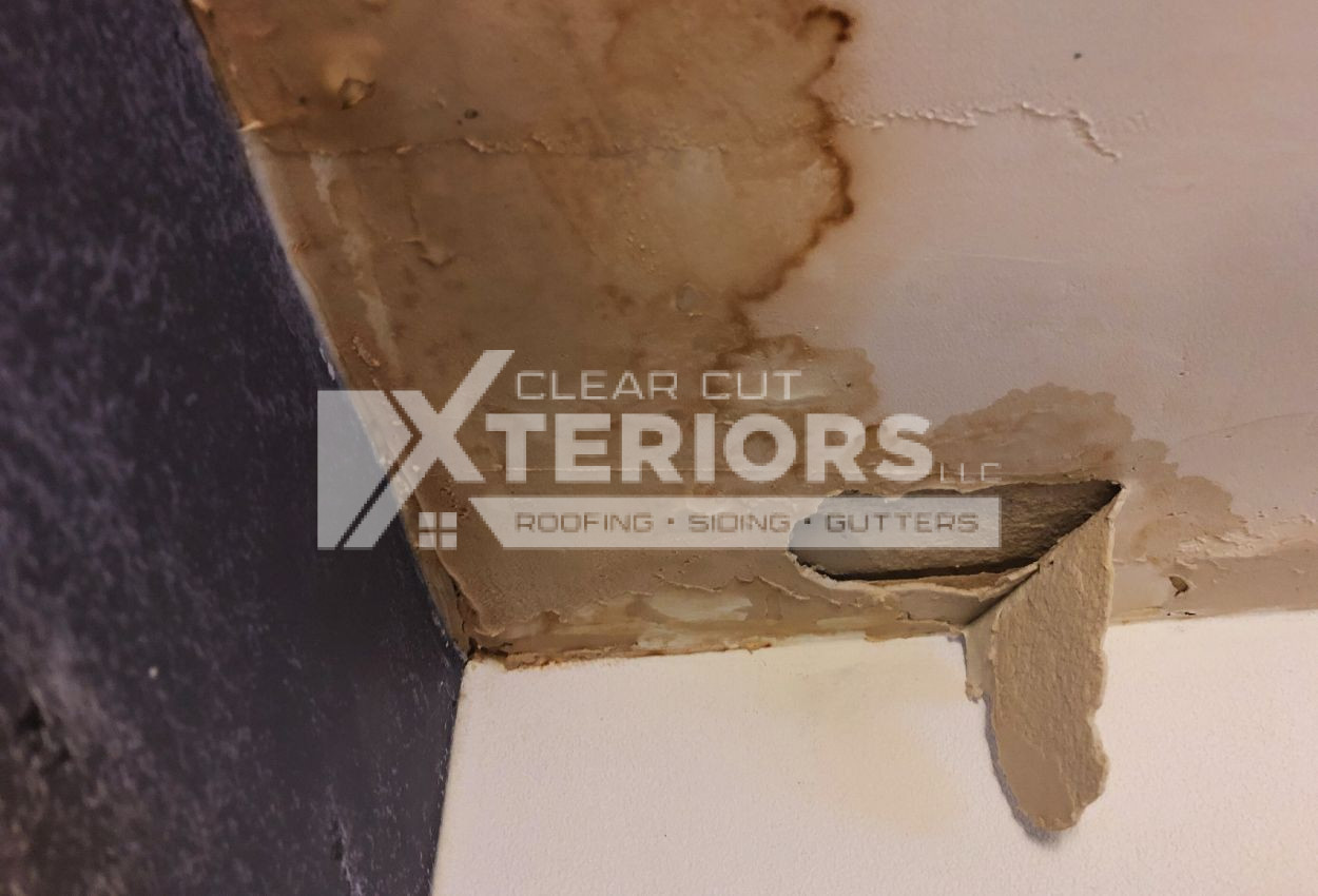 19 Types Of Roof Damage Every Homeowner Should Know